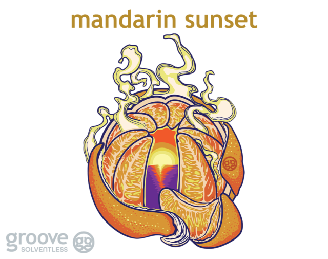 Unveiling Mandarin Sunset and the Return of OG Kush - Groove Solventless